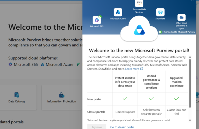 Microsoft Purview Guide | Eccentrix Corner