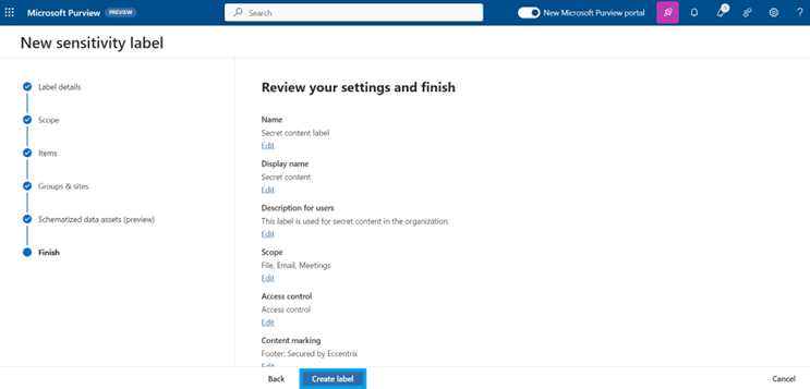 Microsoft Purview Guide | Eccentrix Corner