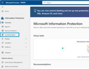 Microsoft Purview Guide | Eccentrix Corner
